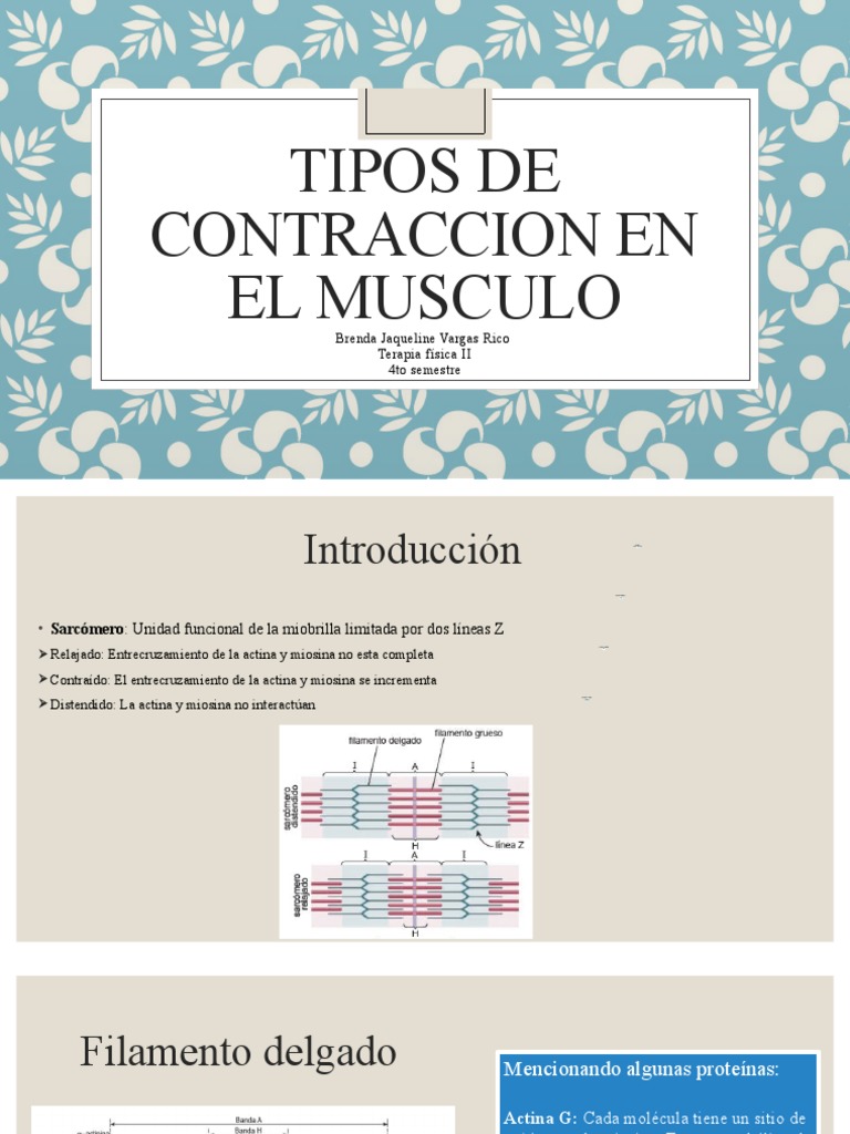 Tipos de Contracción Muscular | PDF | Contracción muscular | Actina