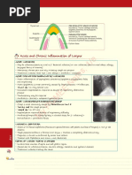 Grade 12 Life Science The Ear PDF | PDF | Ear | Hearing