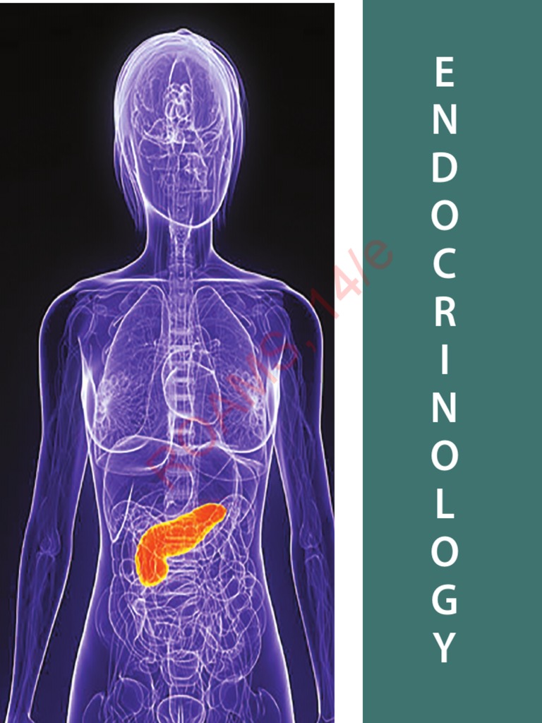 Endocrinology2 ROAMS | PDF | Androgen | Diabetes