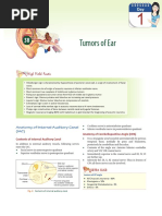 Millers Pyramid | PDF