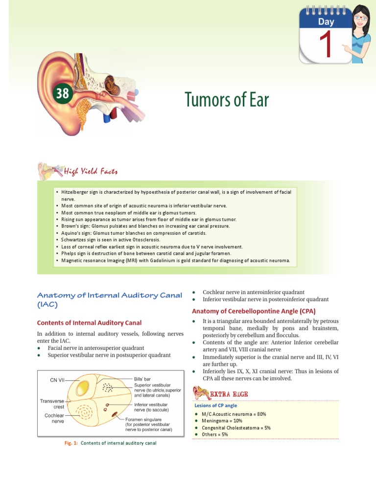 Tumors of Ear | PDF | Ear | Neurology