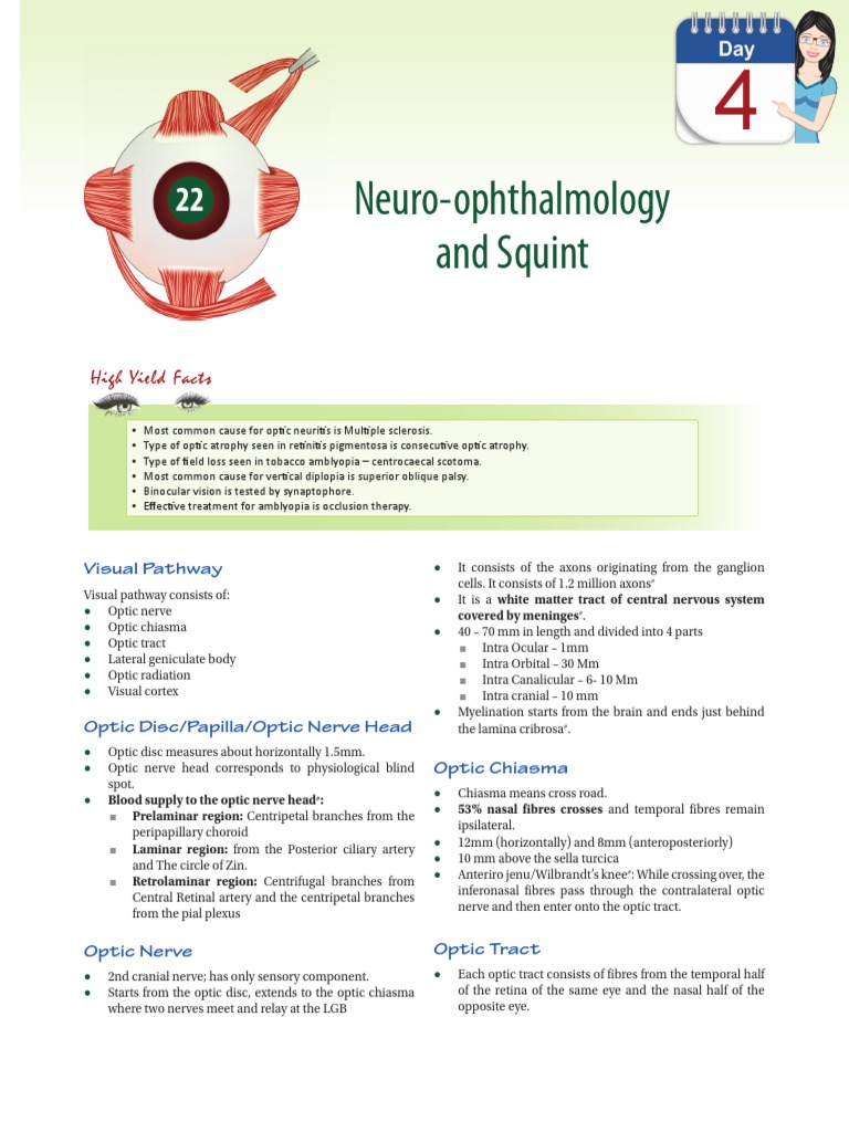 Neuro-Ophthalmology: Visual Pathway Insights | PDF | Human Head And ...