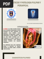 Diagnostico Pulpar y Periapical | PDF | Dolor | Inflamación