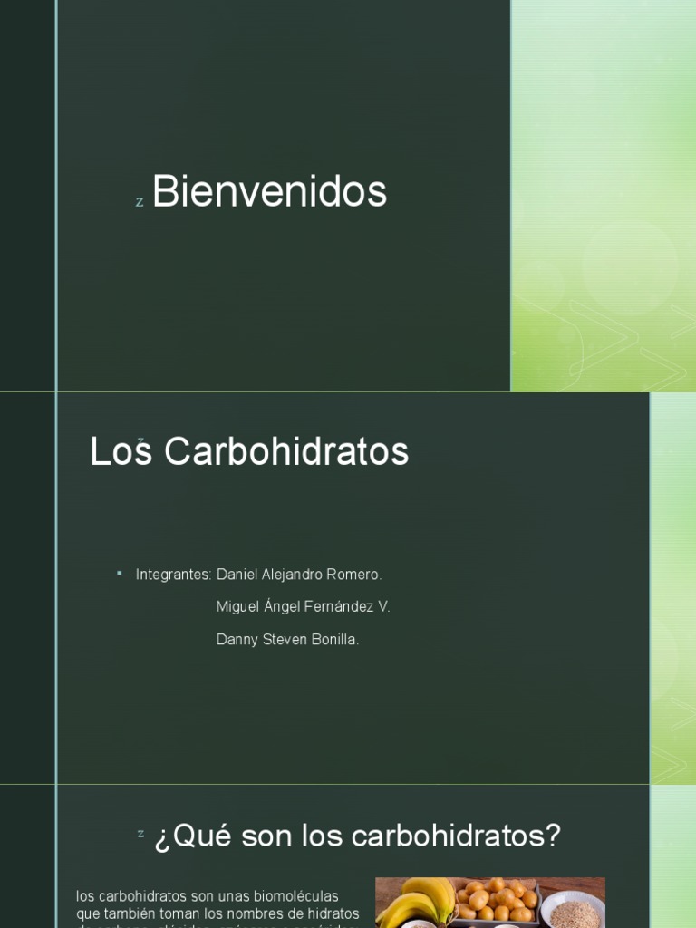 Los Carbohidratos | PDF