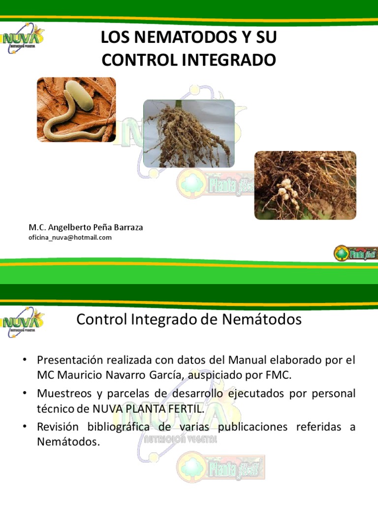Los Nematodos y Su Control Integrado 2019 PDF | PDF | Nematodo | Suelo