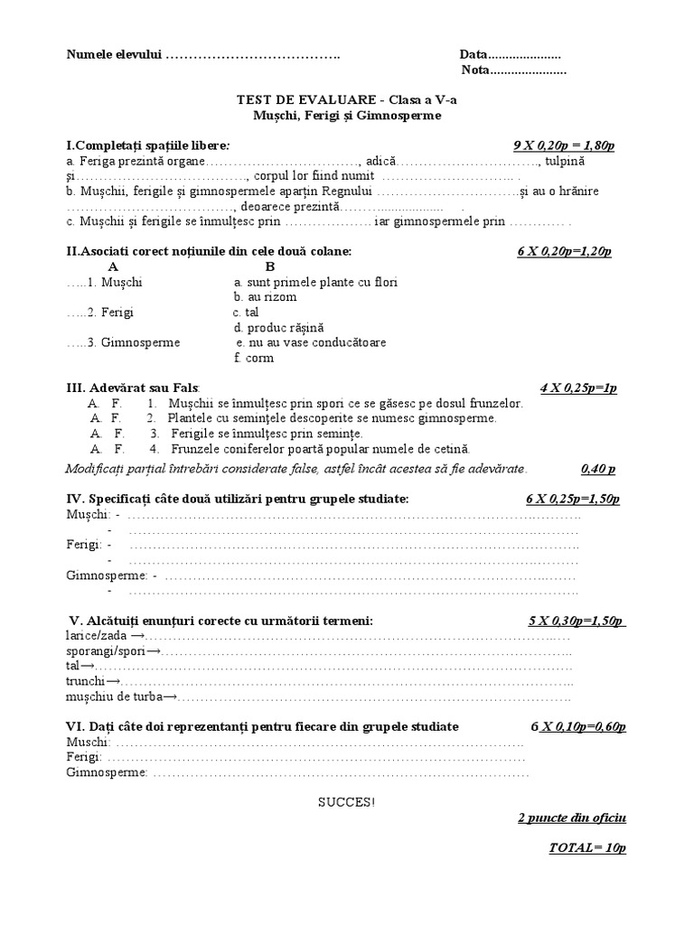 Test V Muschi Ferigi Gimnosperme | PDF