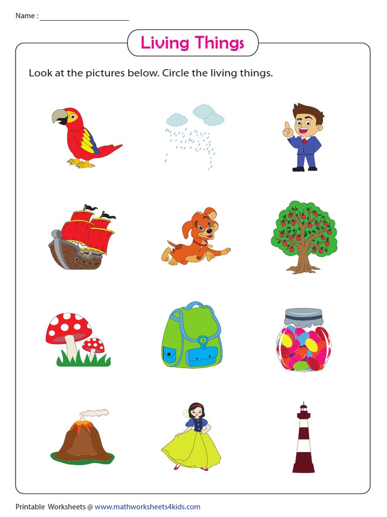 Circle Living Things PDF | PDF