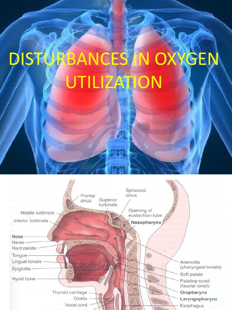 Slides. Disturbances in Oxygen Utilization 2 1 | PDF | Pneumonia ...