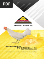 Ross308 308FF BroilerPO2019 en | PDF | Broiler | Birds