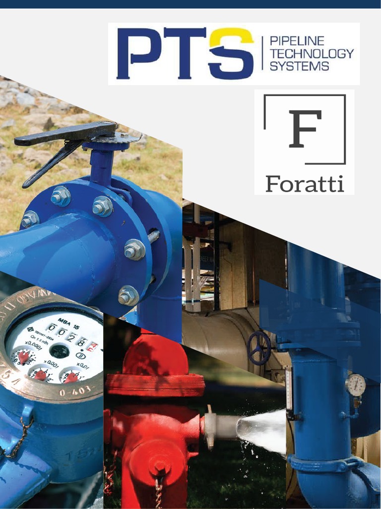 PTS-Technical Catalogue 2020 | PDF | Valve | Galvanization