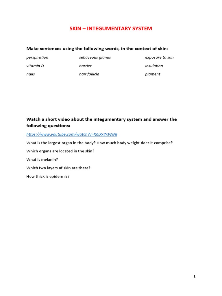 Skin - Integumentary System: Make Sentences Using The Following Words ...