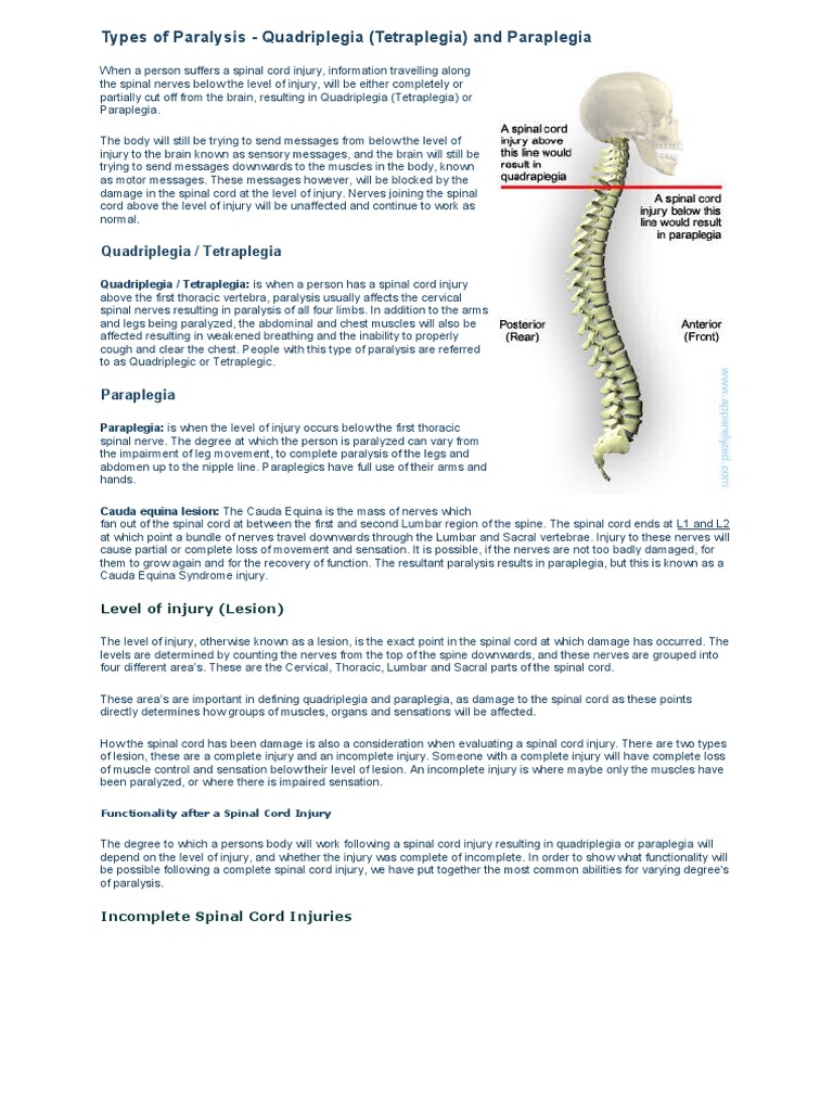 Types of Paralysis | PDF | Vertebral Column | Spinal Cord Injury