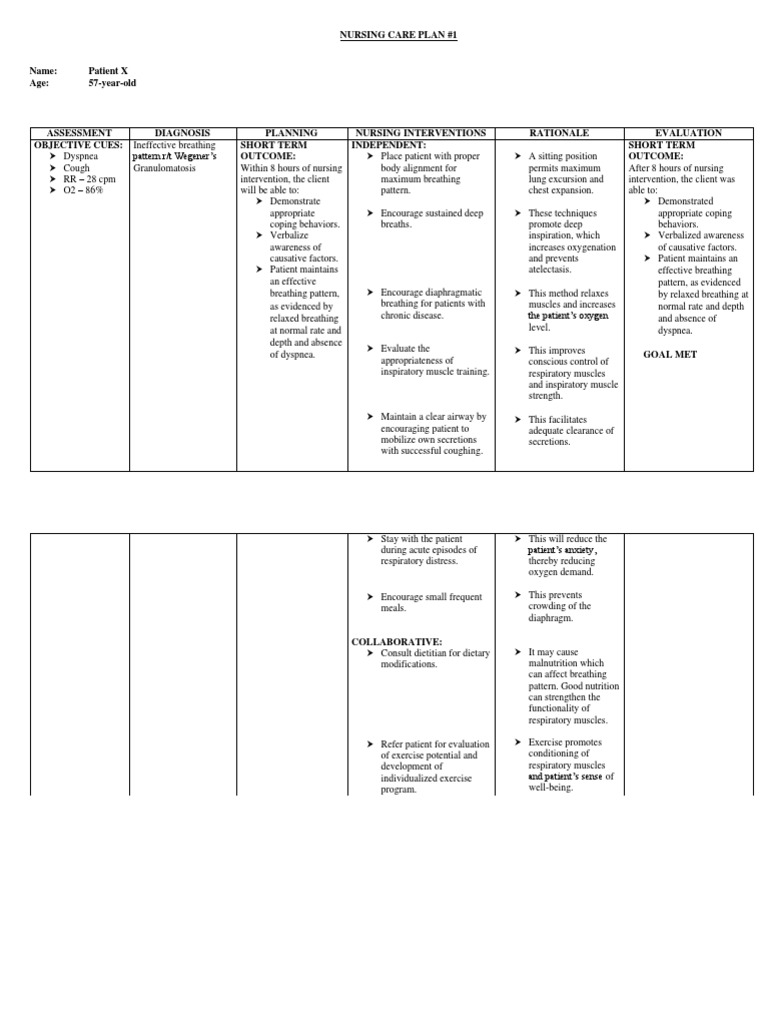 Nursing Care Plan #1 | PDF | Breathing | Respiratory System