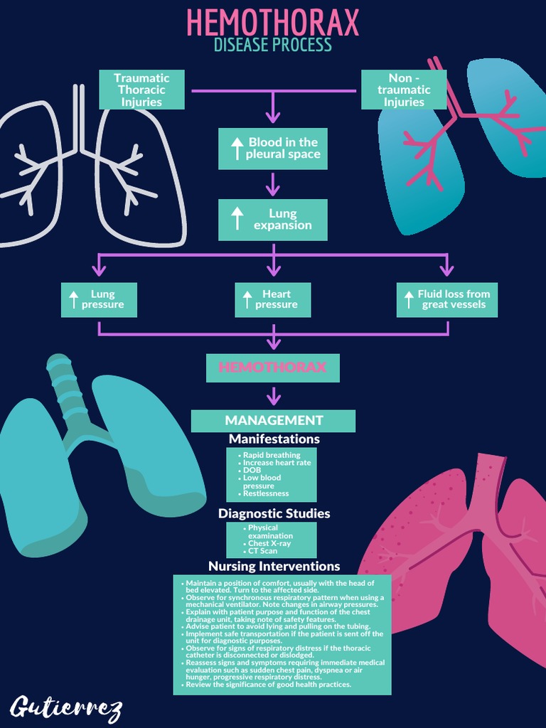 Hemothorax Management Guidelines | PDF | Thorax | Human Diseases And ...