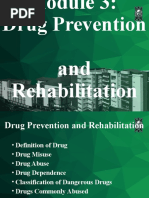 NSTP Core Values Values Formation | PDF | Politics | Social Science