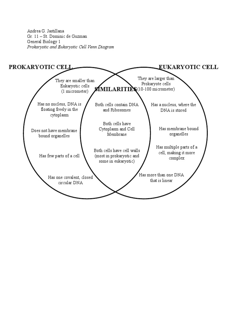 Prokaryotic and Eukaryotic Cell Venn Diagram | PDF