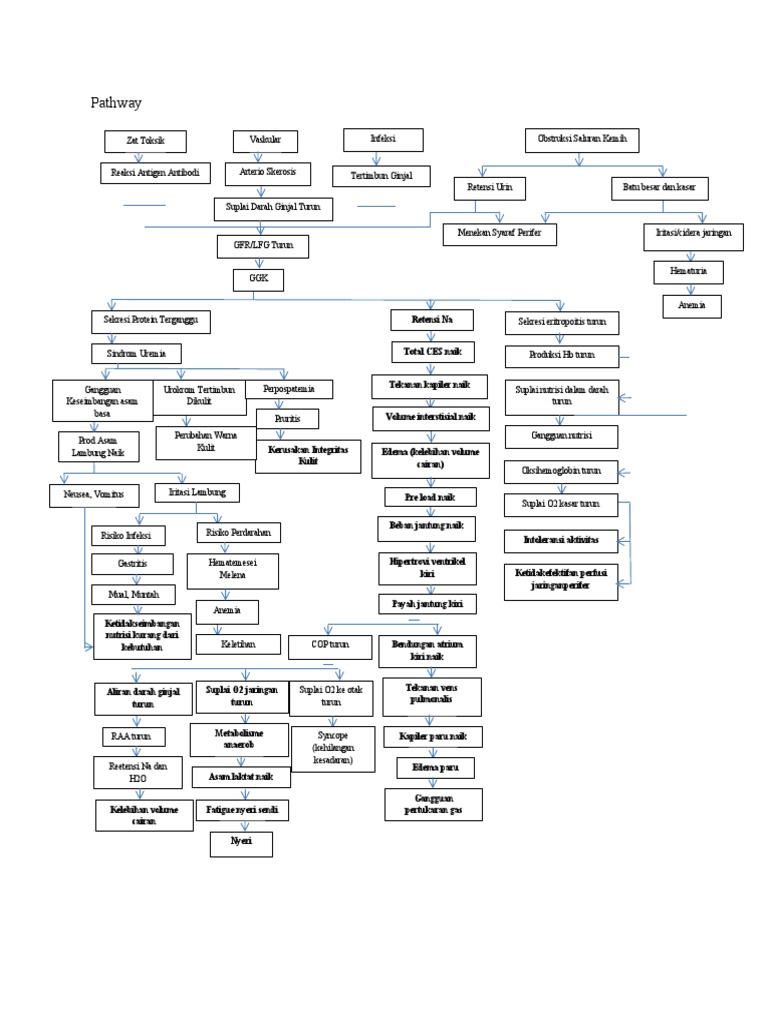 Pathway GGK Pada Anak | PDF