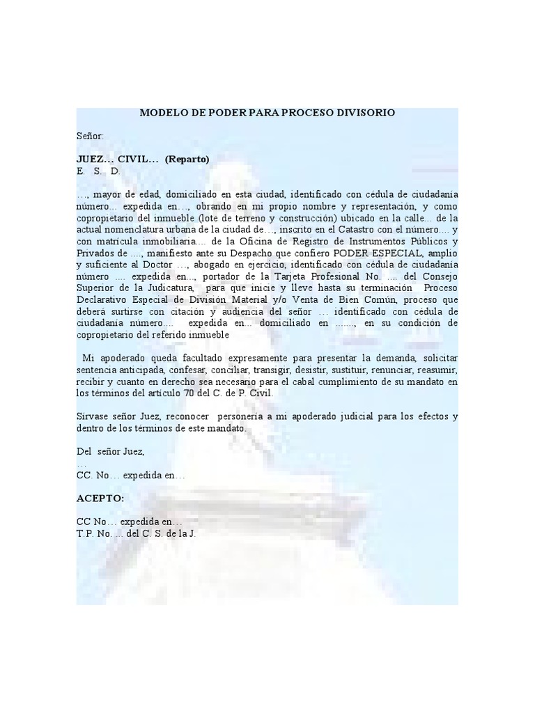 Modelo de Poder para Proceso Divisorio | PDF | Derecho