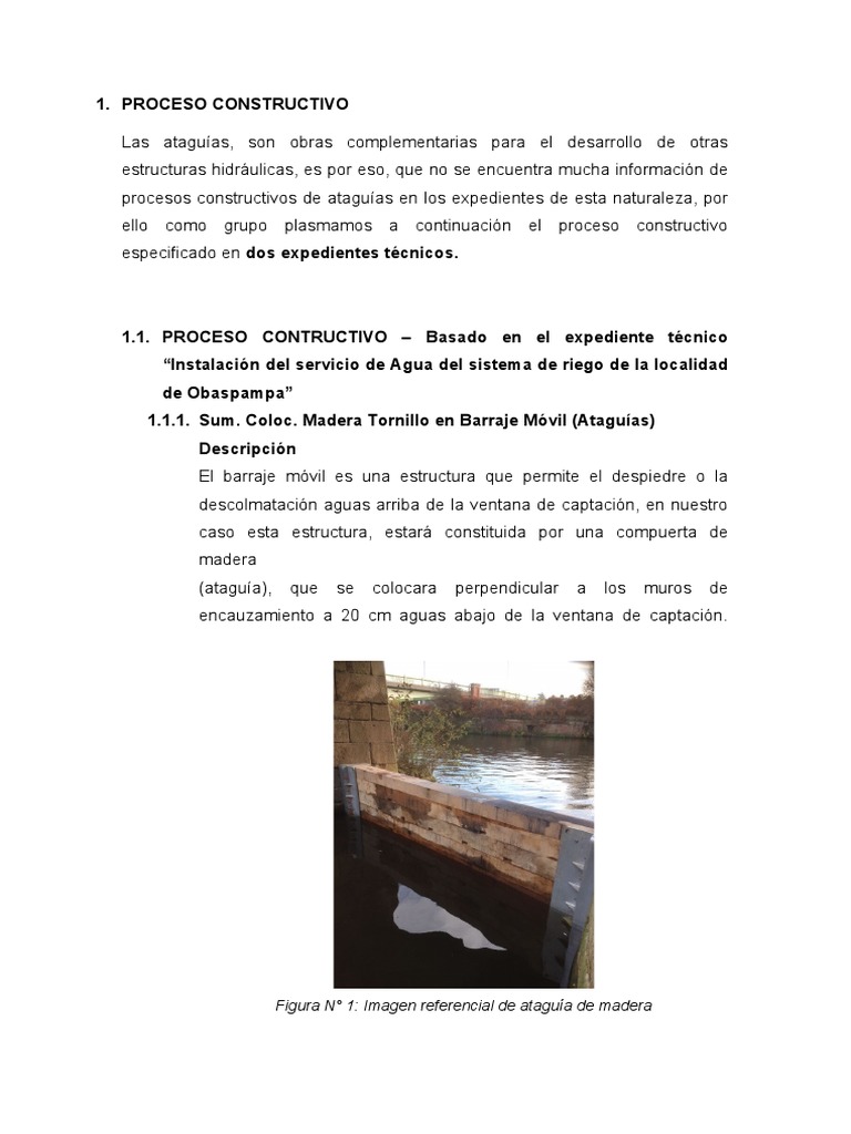 Proceso Constructivo | PDF | Tornillo | Naturaleza