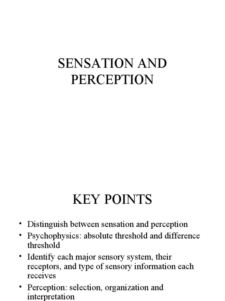 Sensation Perception | PDF | Senses | Perception