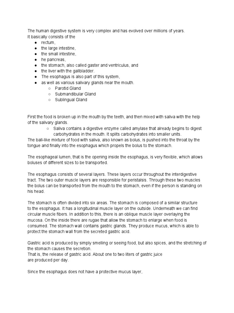 Digestive System Script | PDF | Stomach | Human Digestive System