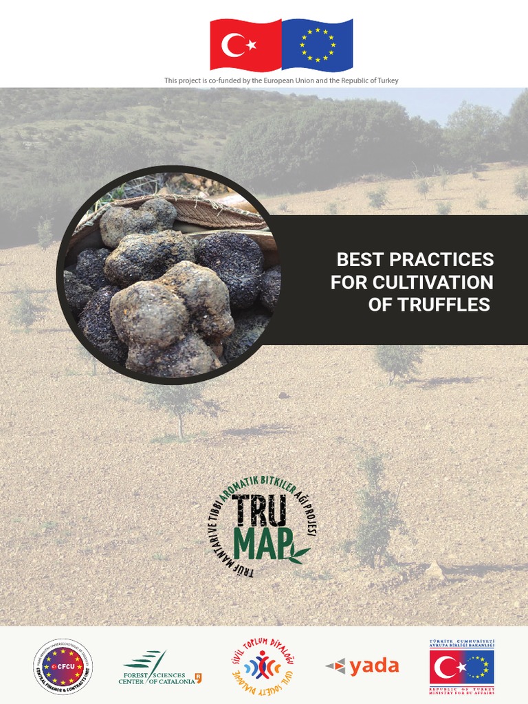 Best Practices For Cultivation of Truffles (2017) PDF | PDF | Soil ...