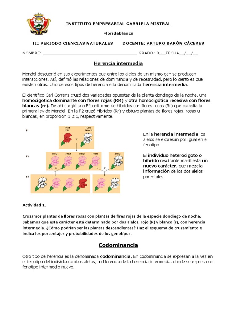 Guía Sobre Herencia Intermedia, Codominancia y Alelismo Múltiple ...