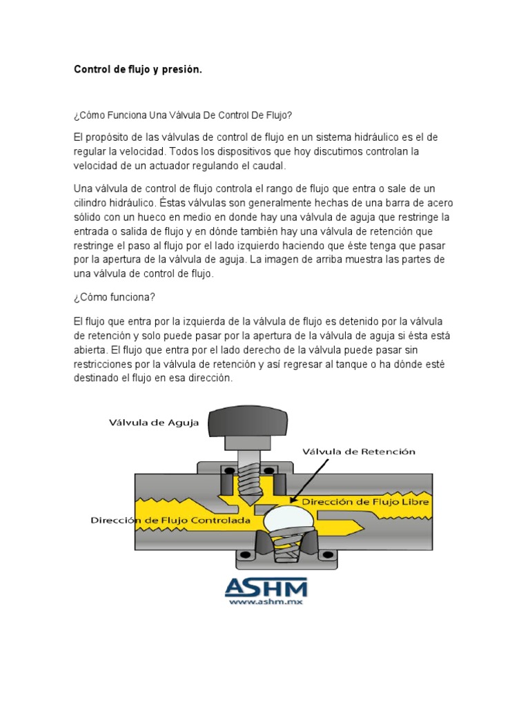 Control de Flujo y Presión | PDF | Bomba | Válvula