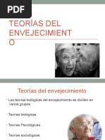 Teorías Biológicas Del Envejecimiento | PDF | Envejecimiento | Sistema inmune