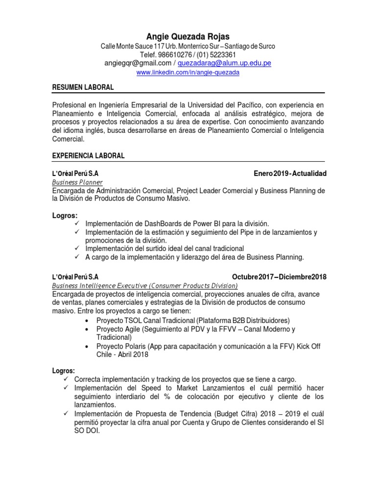 Perfil Profesional de Angie Quezada | PDF | Business | Informática