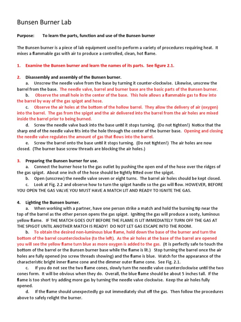Bunsen Burner Lab: Parts and Flame Analysis | PDF | Fires | Heat Transfer