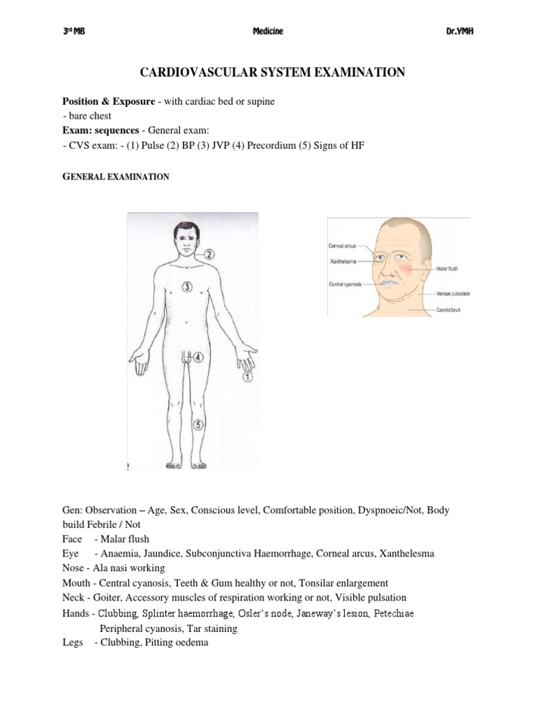 CVS Examination 3rd MB | PDF | Pulse | Heart Valve