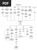 Pathway Hipertensi | PDF