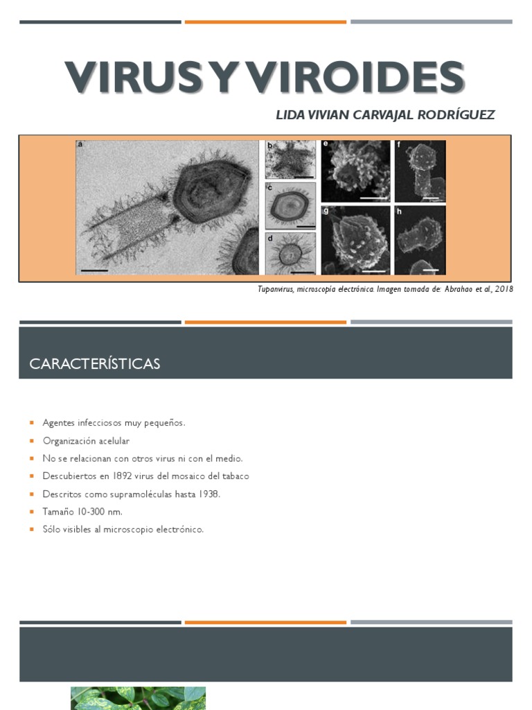 Tema 5 Virus y Viroides | PDF | Virus | Bacteriófago