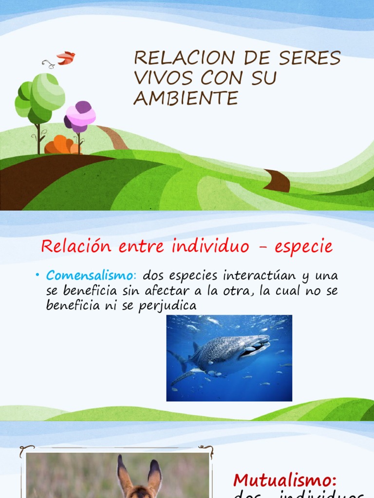 Los Seres Vivos y Su Ambiente | PDF | Abejas | Plantas