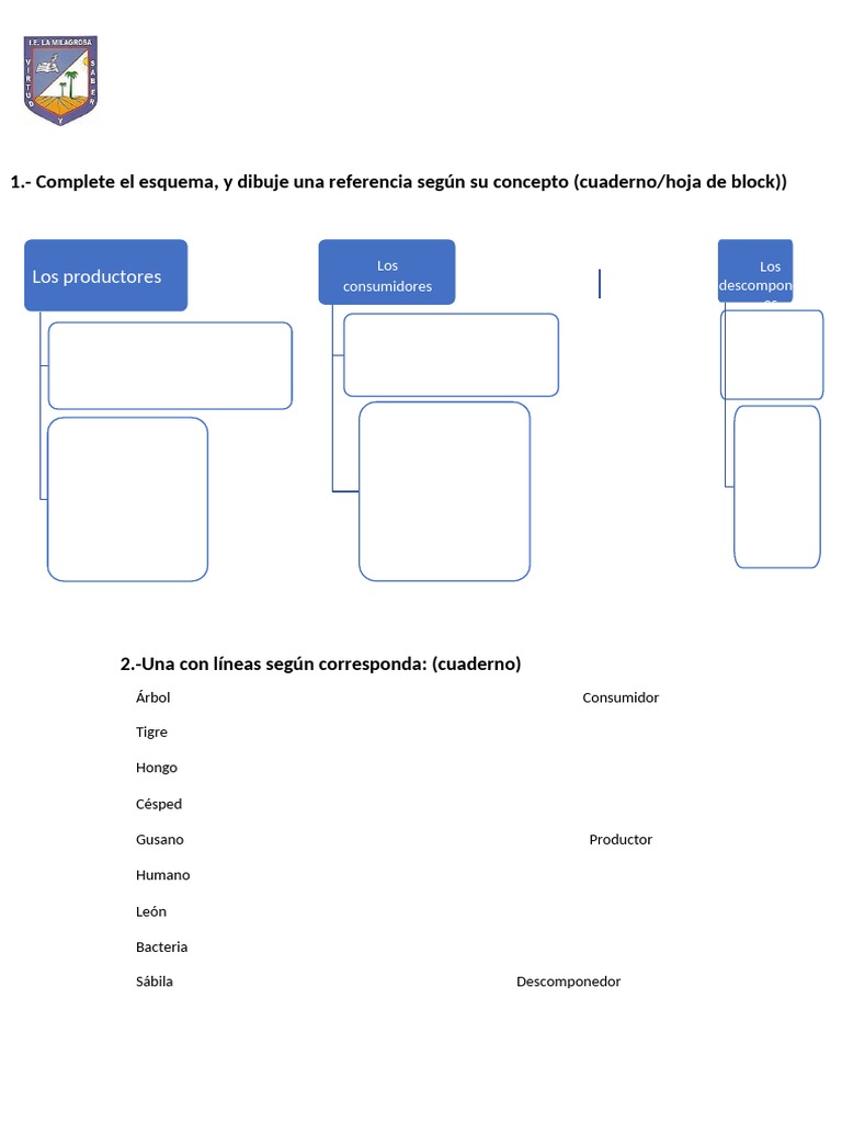 Productores, Consumidores y Descomponedores | PDF