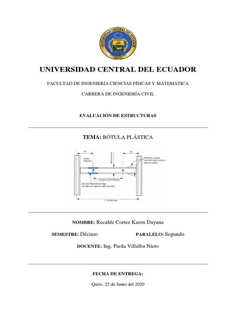 Rótula Plástica | PDF | Carpintería | Carpintería