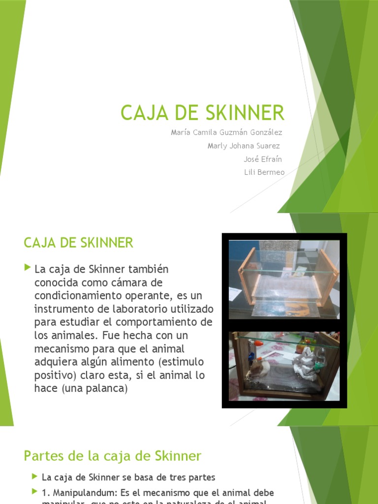 Caja de Skinner: Condicionamiento Operante | PDF | Conceptos ...