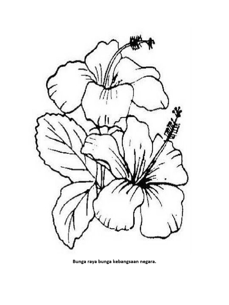 Bunga Raya Bunga Kebangsaan Negara | PDF