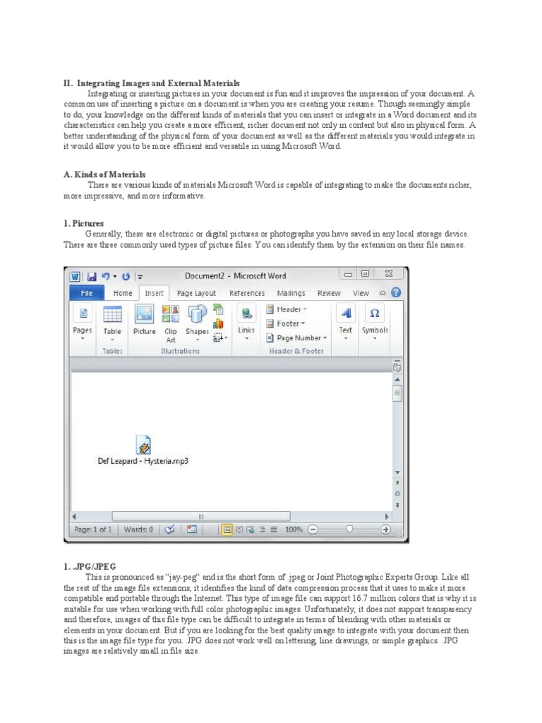 Integrating Images in Word Documents | PDF | Computer Graphics | Computing