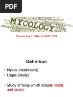 Fungi Observation in Bread and Fruit | PDF | Fungus | Staining