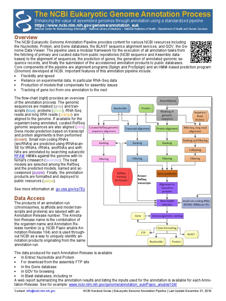 NCBI Eukaryotic Genome Annotation Guide | PDF | National Center For ...