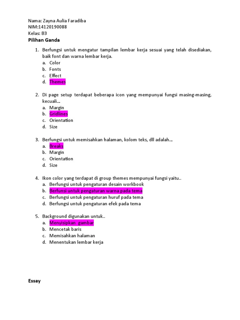 Soal Ms Excel Menu Page Layout | PDF