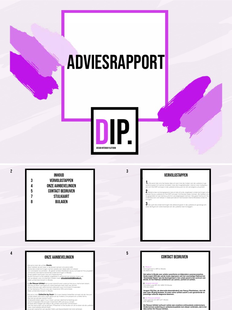 Adviesrapport DIP | PDF