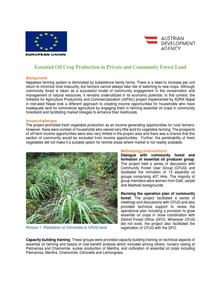 Essential Oil Crops in Community and Private Land | PDF | Agriculture ...