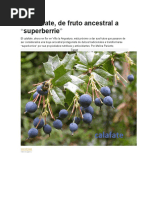 Choriflan - Comida Trucha y Que Es Mentira | PDF | Sitios web ...