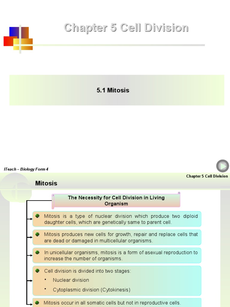 Chapter 5 Cell Division | PDF