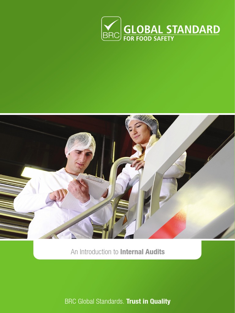 An Introduction To Internal Audits PDF | PDF | Internal Audit | Audit