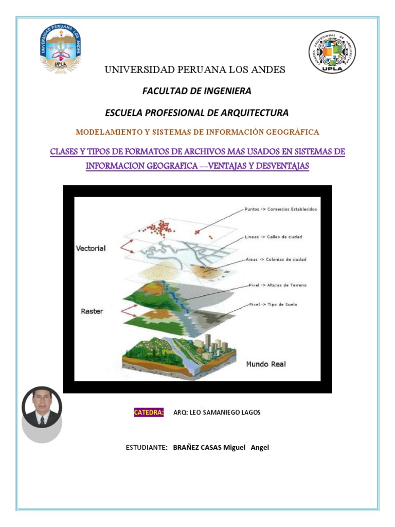 Clases y Tipos de Formatos de Archivos Mas Usados en Sig - Ventajas y ...