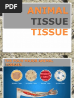 Concept Map - HISTOLOGY | PDF | Tissue (Biology) | Connective Tissue